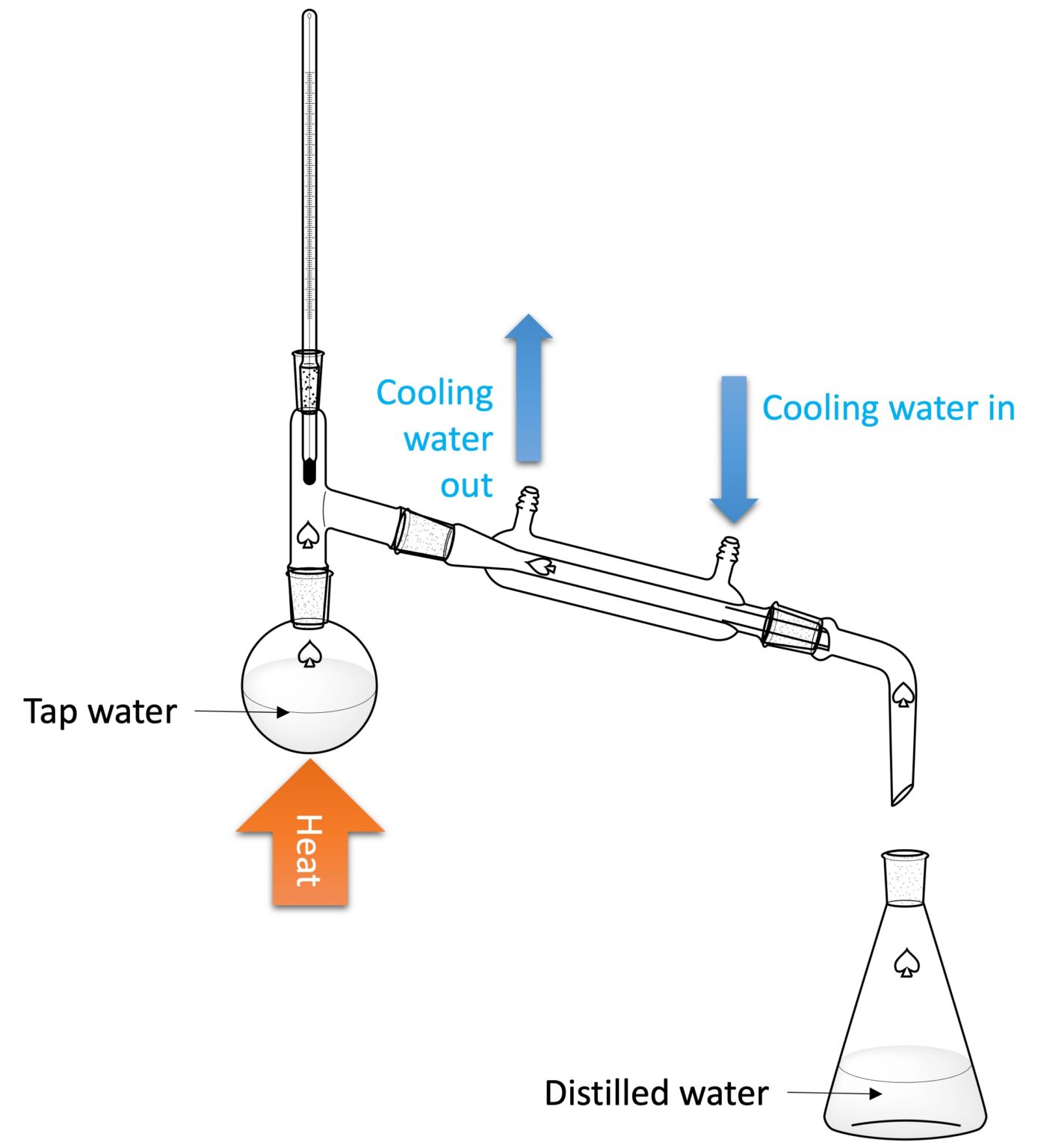 10.1 Water – IGCSE and A Level Chemistry Learning Website