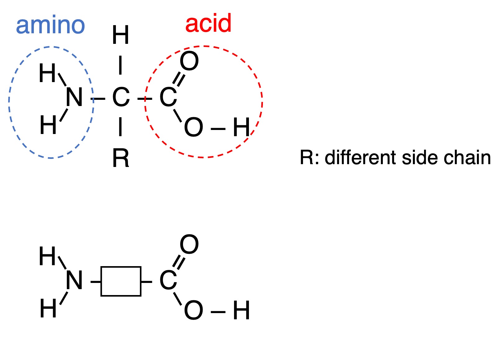 11.8 Polymers – IGCSE and A Level Chemistry Learning Website